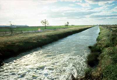 Fan in and Fan out Pattern with Go Part I | Leogoesger